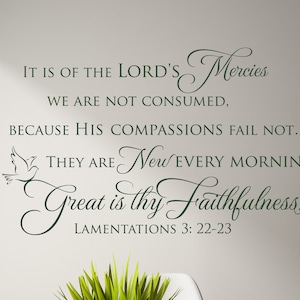 It is of the Lord's Mercies...great is Thy Faithfulness. Lam 3:22-23 ...