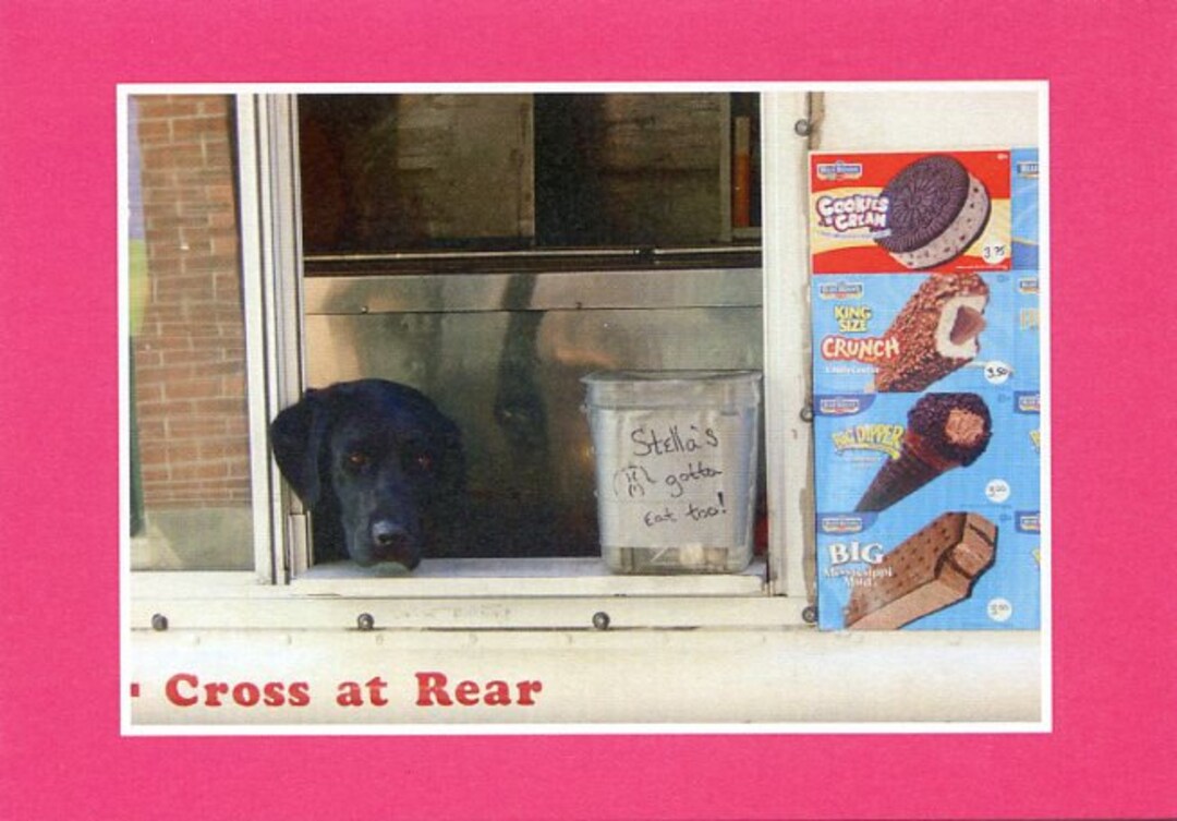 Stella - Photo Card - Etsy