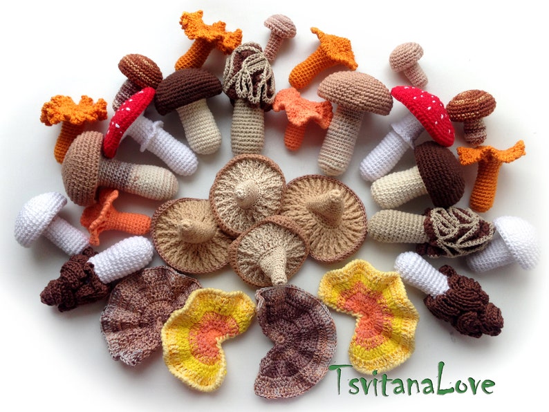 Small Mushroom (1pc+) - Realistic Crochet Amigurumi Fungi - Play Food ...