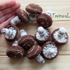 Small Mushroom (1pc+) - Realistic Crochet Amigurumi Fungi - Play Food ...