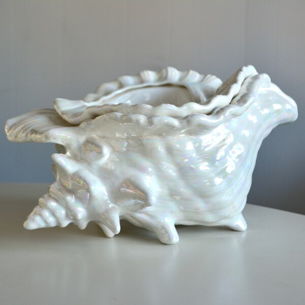 Conch Shell Planter - Etsy
