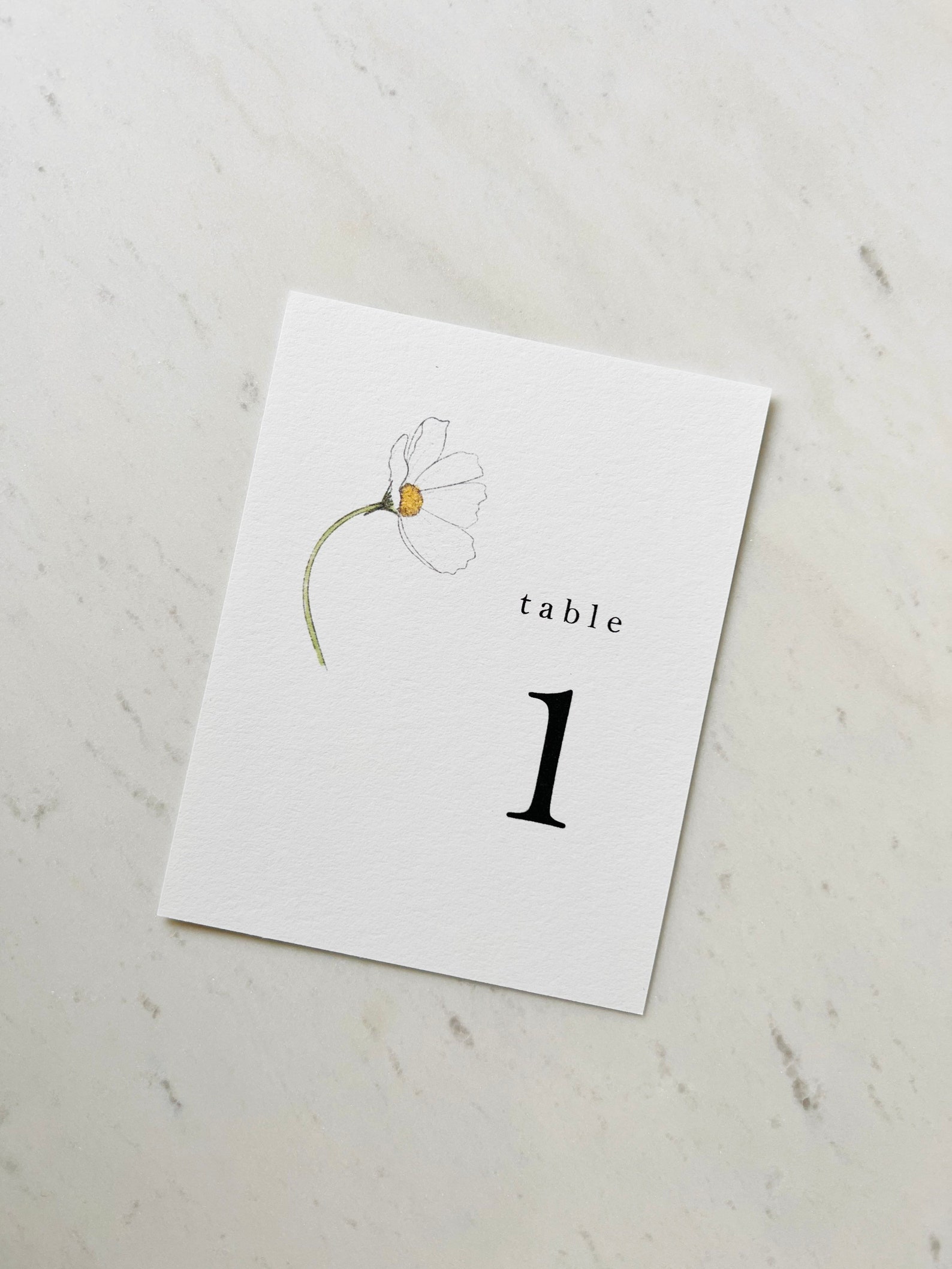 Daisies / Daisy / Cosmos / Chamomile Flower Table Numbers | Minimalist ...