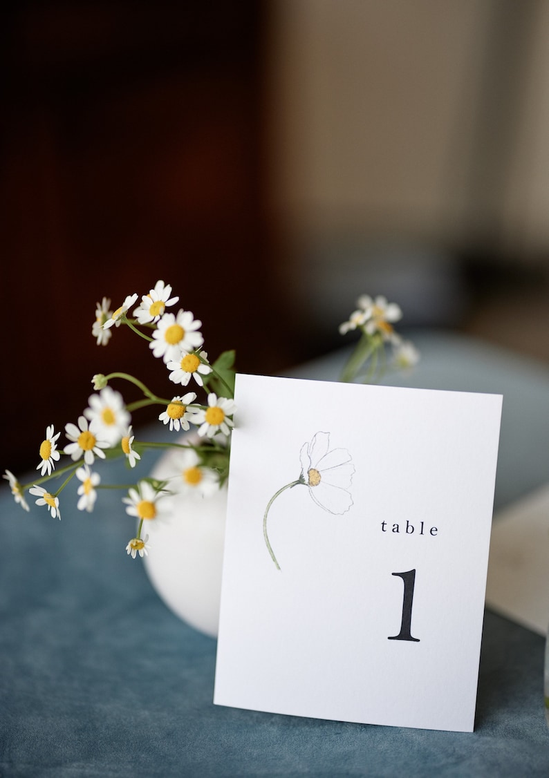 Daisies / Daisy / Cosmos / Chamomile Flower Table Numbers | Minimalist ...