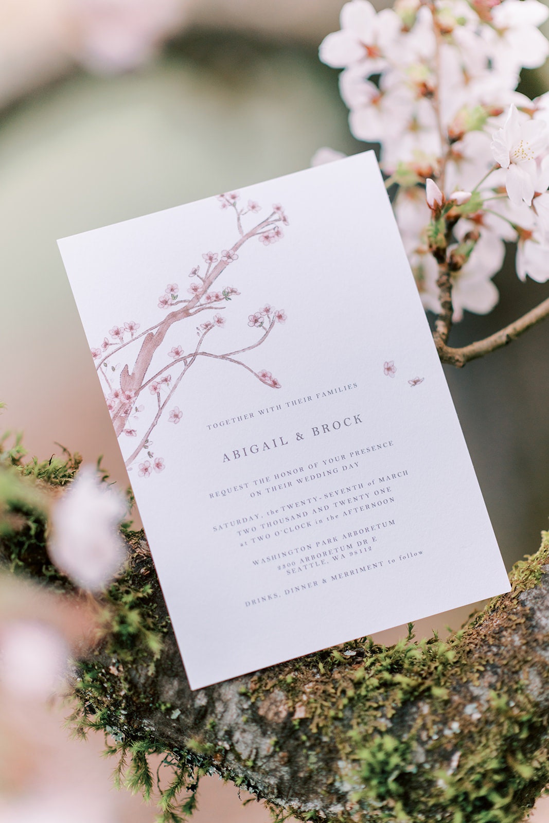 Cherry Blossom / Sakura Festival Wedding Invitations Full - Etsy