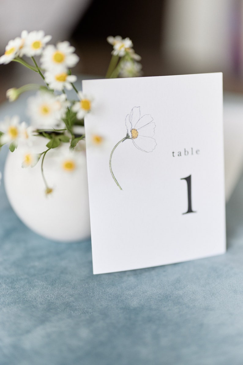 Daisies / Daisy / Cosmos / Chamomile Flower Table Numbers | Minimalist ...