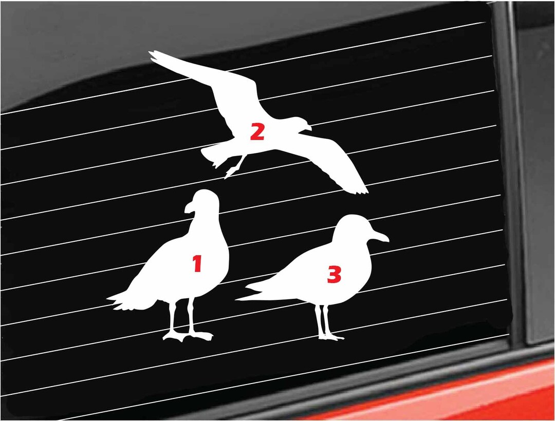 Seagulls Vinyl Decal, Ocean Beach Seagulls Vinyl, Seagulls Decal Car ...