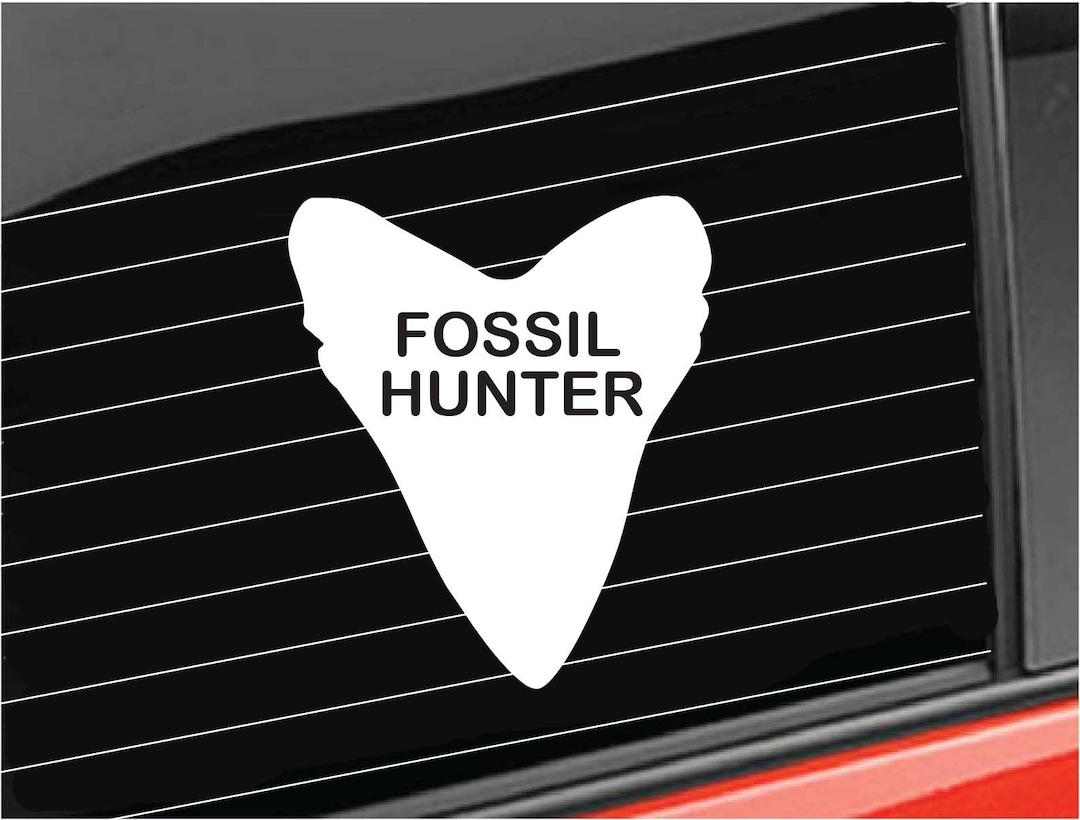 Fossil Hunting Vinyl Decal, Shark Tooth Decal, Shark Fossil Treasure ...