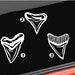 Shark Tooth Fossil Vinyl Decal, Shark Tooth Decal, Shark Tooth Sticker ...