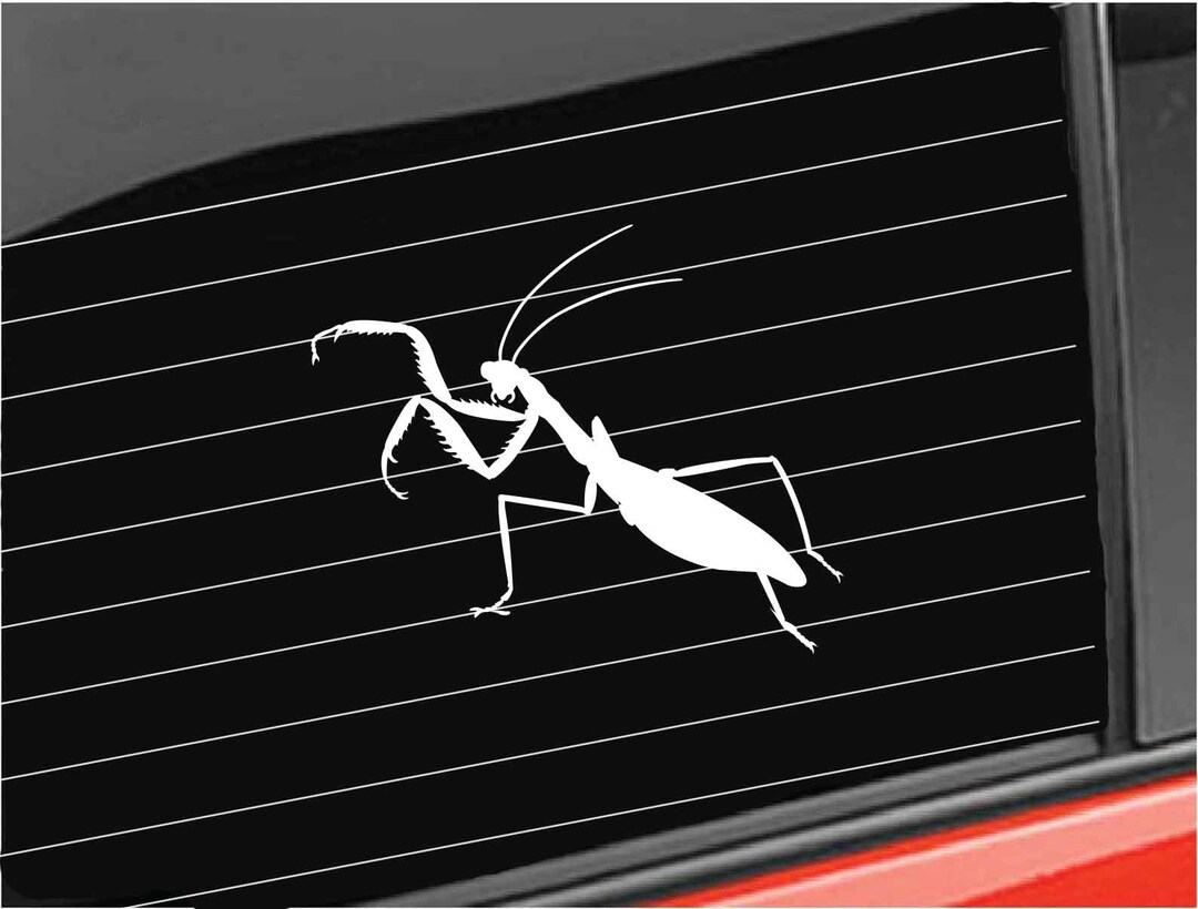 Praying Mantis Vinyl Decal | Insect Mantis Decal, Mantis Sticker Home ...