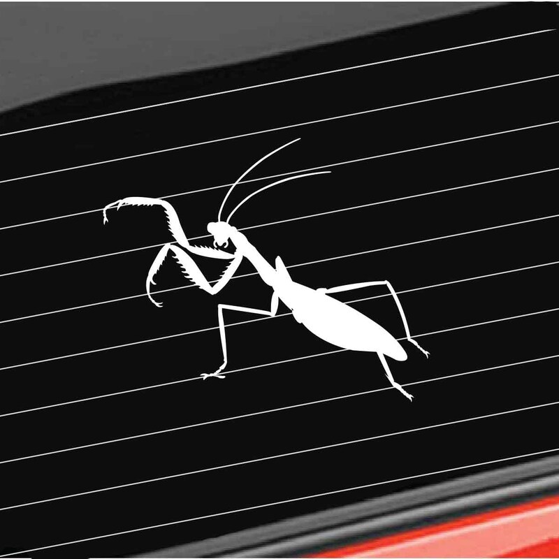 Insect Decals - Etsy