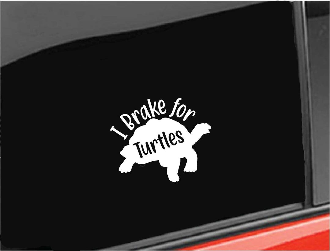 I Brake for Turtles Vinyl Decal, Turtle Decal Home/laptop/computer ...