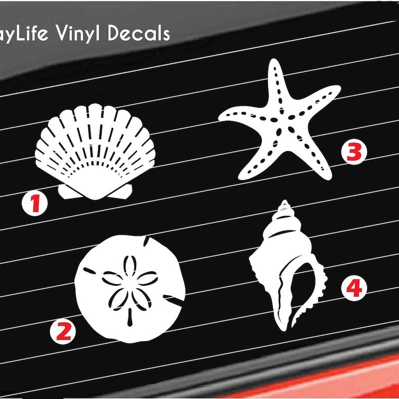 Shell Conch Car - Etsy