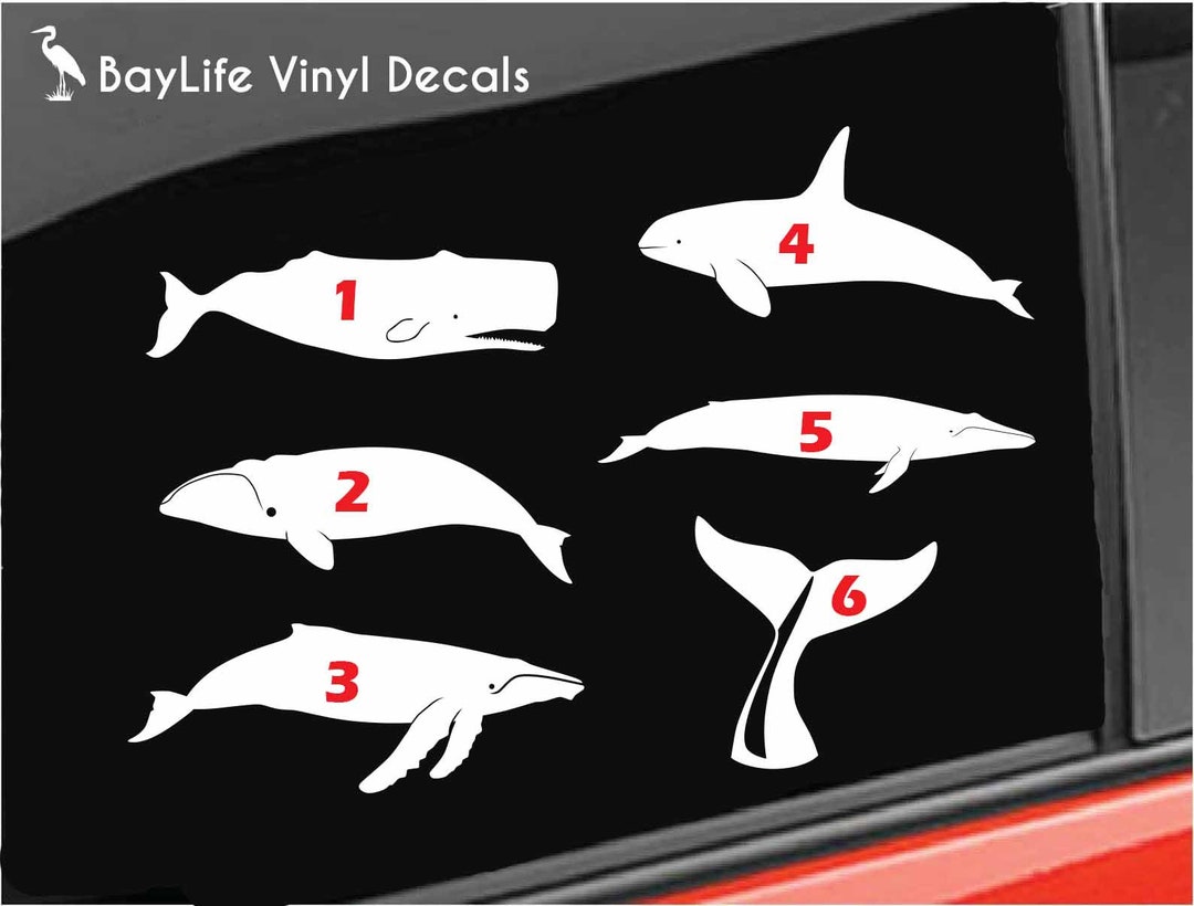 Whales Vinyl Decal, Various Whales Vinyl Decals, Whale Swimming Wall ...