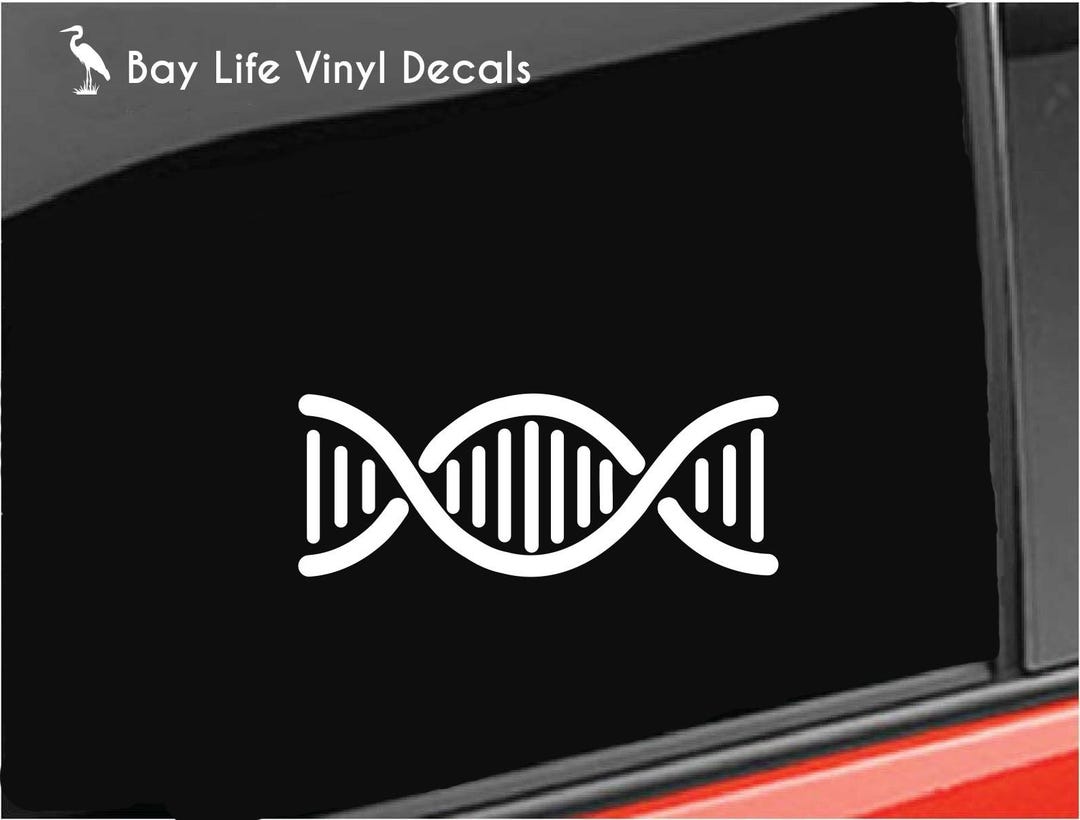 DNA Strand Vinyl Decal, Human Body Decal, Chemistry Science Matter Atom ...