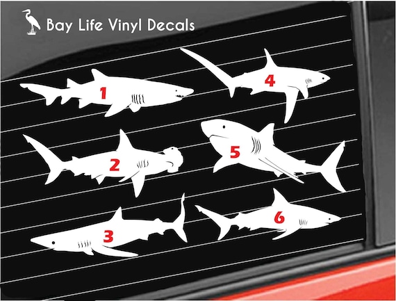 Shark Vinyl Decal Various Sharks Decal Shark Swimming Wall | Etsy