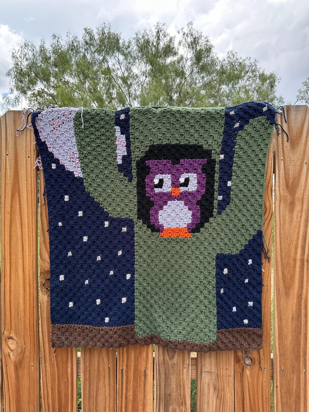 Ophelia the Owl Baby Blanket - C2C Crochet Pattern (PDF Download) - Etsy