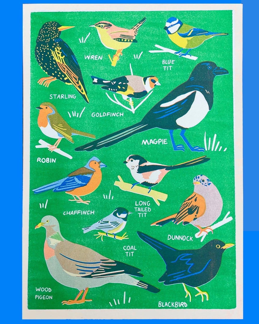 Garden Bird Riso Print - Etsy