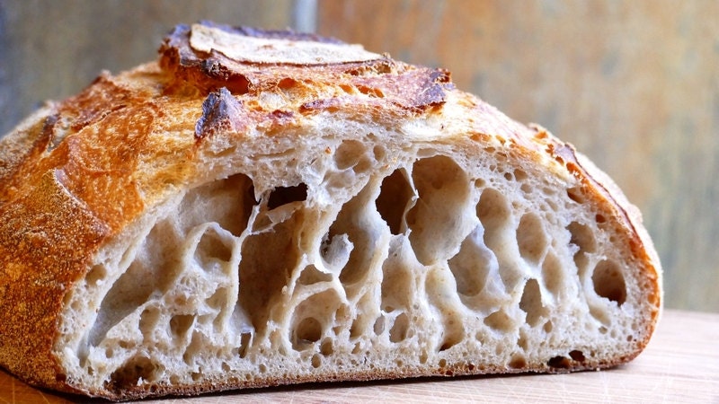 PDF Booklet- Extreme Fermentation - Bake Modified Gluten Sourdough ...