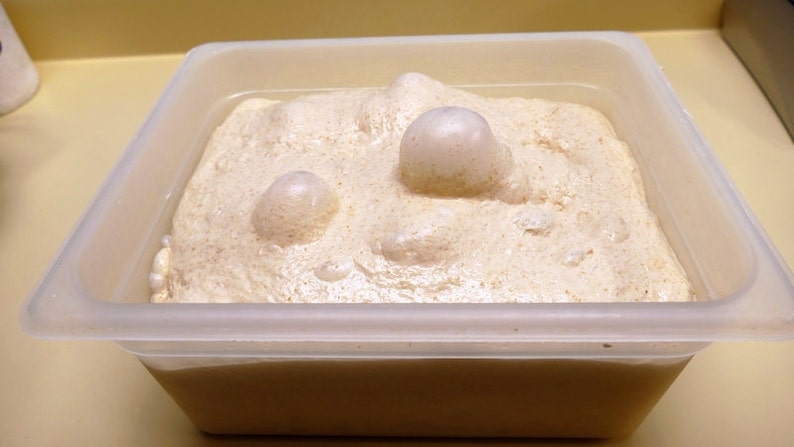 PDF Booklet- Extreme Fermentation - Bake Modified Gluten Sourdough ...