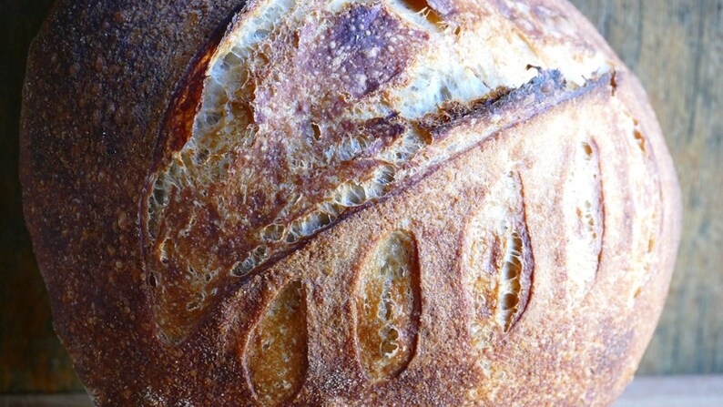 PDF Booklet- Extreme Fermentation - Bake Modified Gluten Sourdough ...