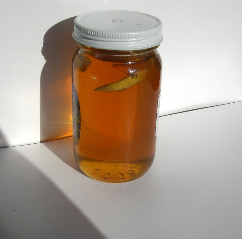 Raw Garlic Clove Honey, Randalia Bee Hives - Etsy