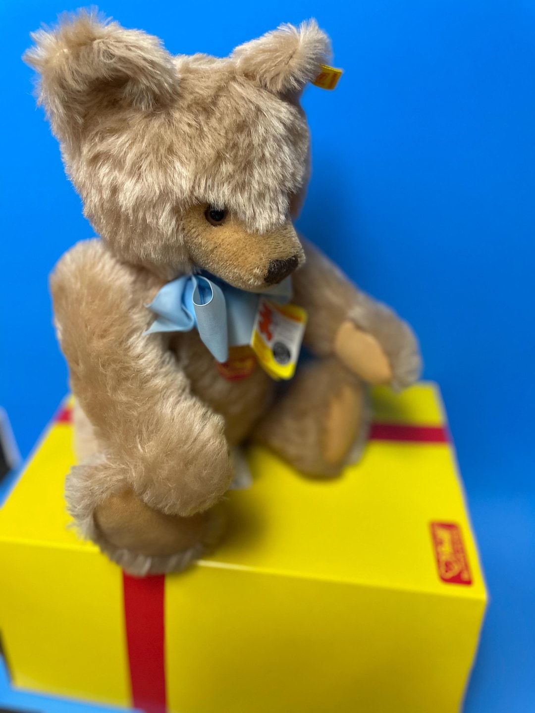 Vintage STEIFF Teddy Bear With Box: 15" Beige Plush - Etsy