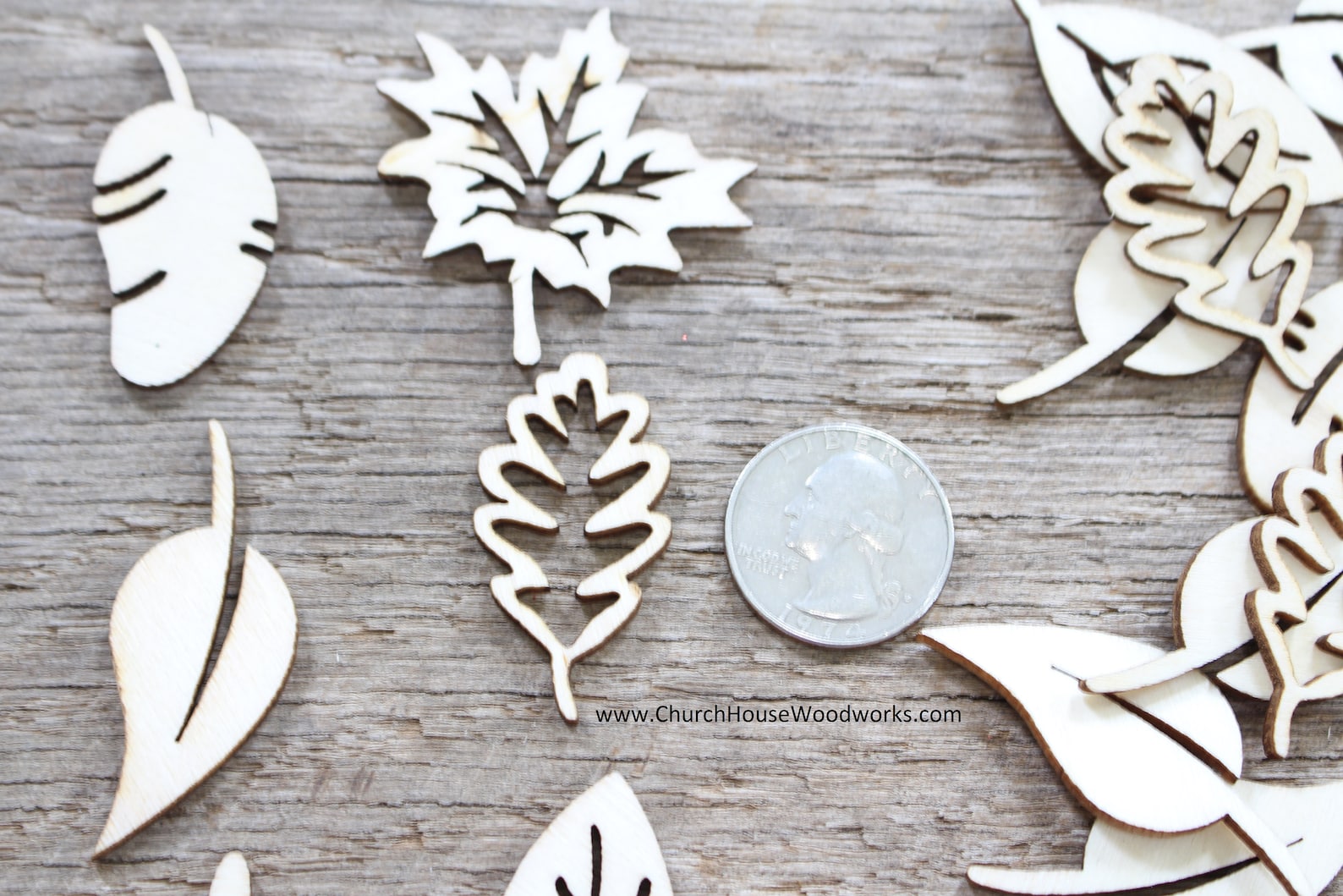 25 Qty Random Leaf Shape Assortment DIY Crafts Leaves - Etsy