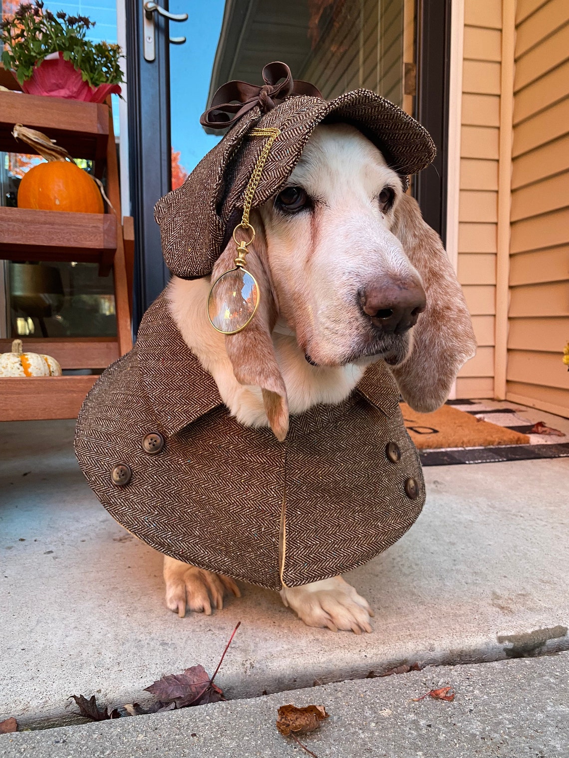 Tweed CAPELET Herringbone Detective Dog Cape With Fleece - Etsy