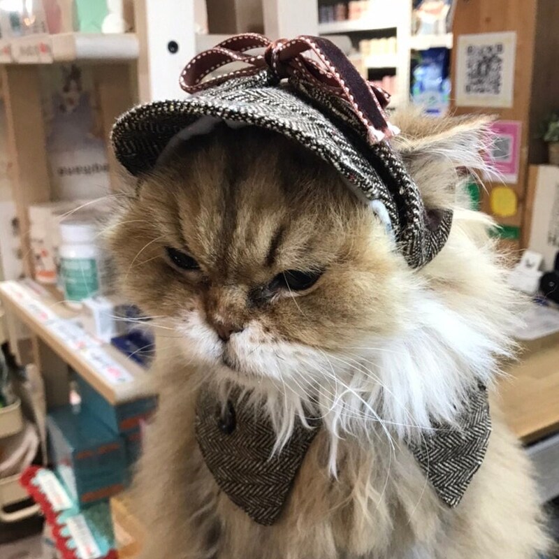 Detective Hat - Etsy
