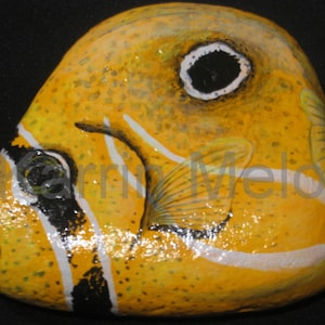 Painted Stone / River Rock/ Tropical/ Fish / Garden Stone / Nautical ...