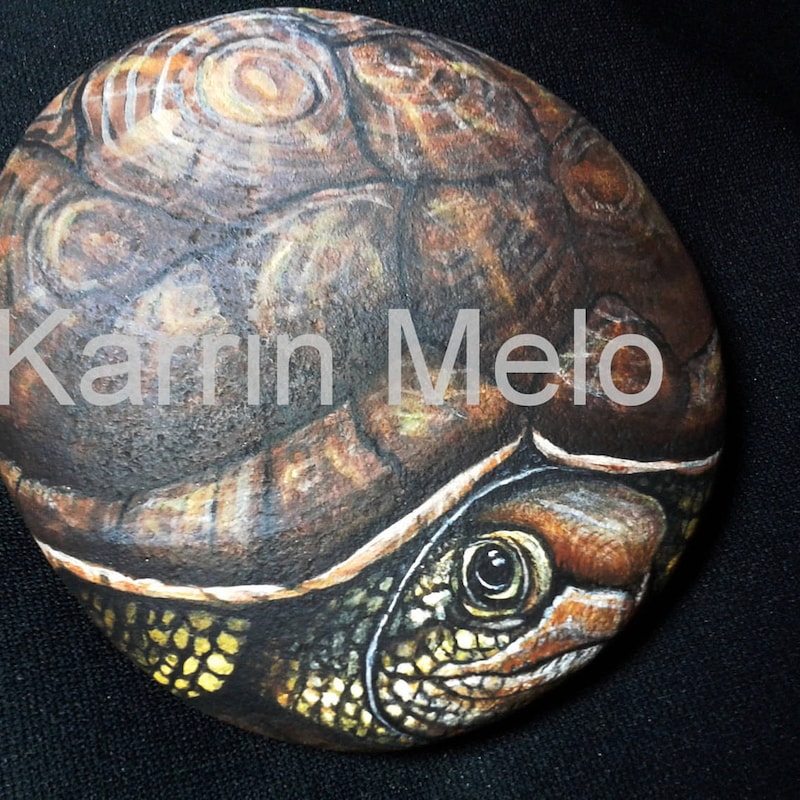 Painted Turtle Rock - Etsy