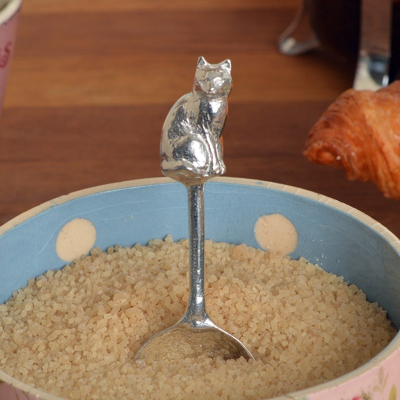 Cat Spoon - Etsy
