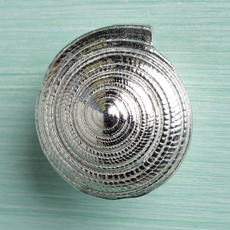 Seashell Knobs Silver - Etsy UK