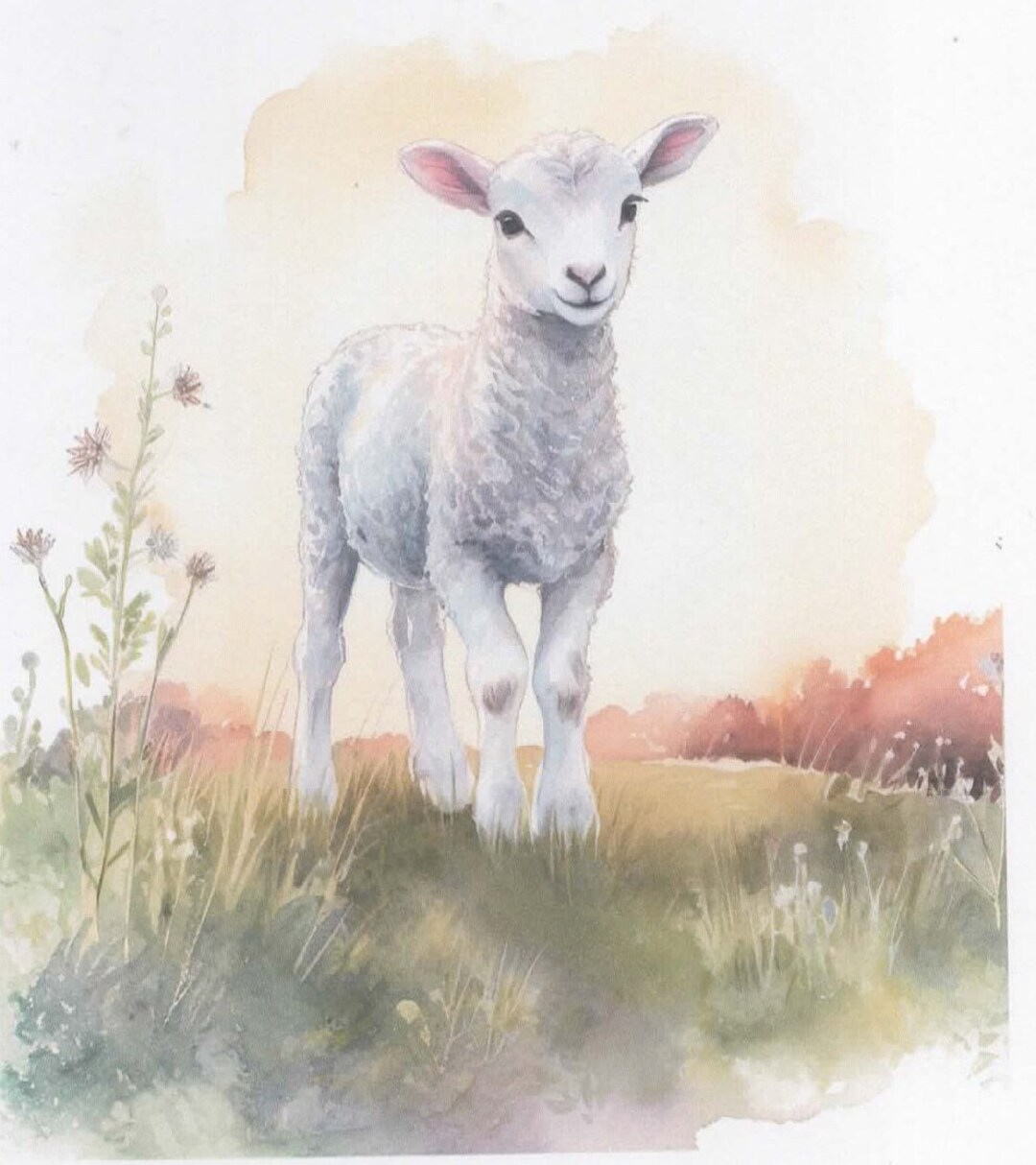 Lamb Card Sweet White Lamb Card for Your Desk, Office Supply, Send to ...