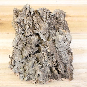 24 Lbs - Cork Bark Slabs for Air Plants & Bromeliads - Free Shipping ...