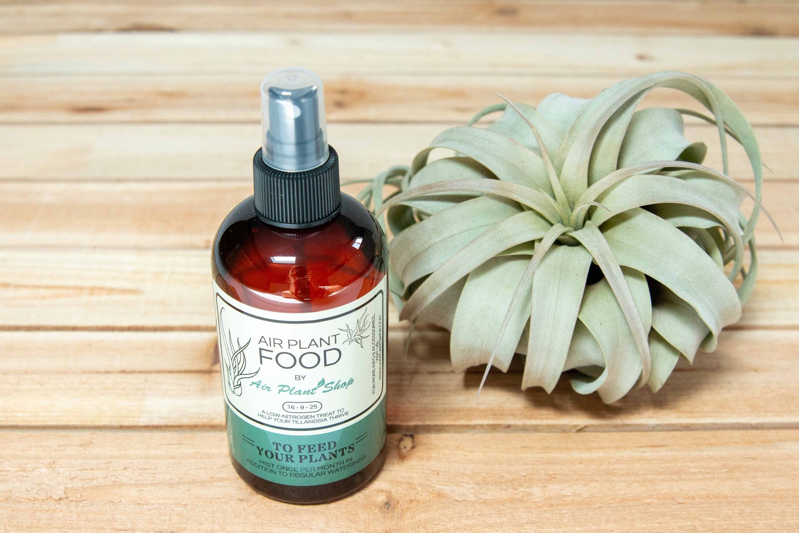 Ready-to-use Air Plant Fertilizer Tillandsia Air Plant Food - Etsy