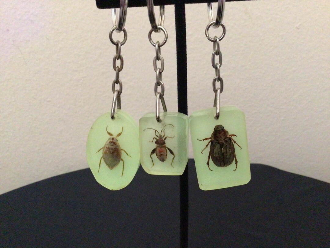 Vintage Lucite Glow Bug Keychains 3 Pcs - Etsy