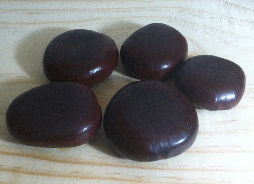 10 Seeds Entada Rheedii Seeds African Dream Beans Wildharvested - Etsy