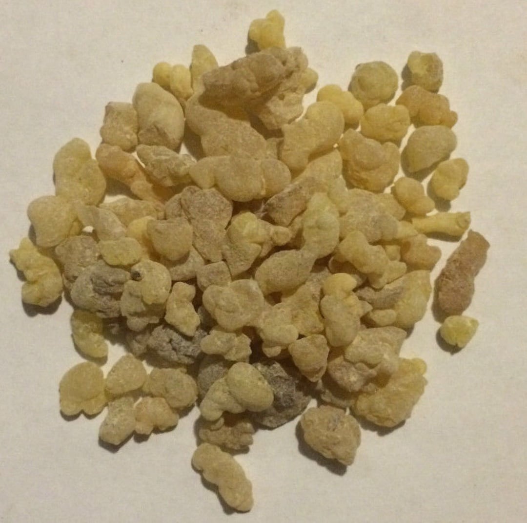 1 Lb. Frankincense Resin (boswellia Carteri) Wildharvested & Kosher ...