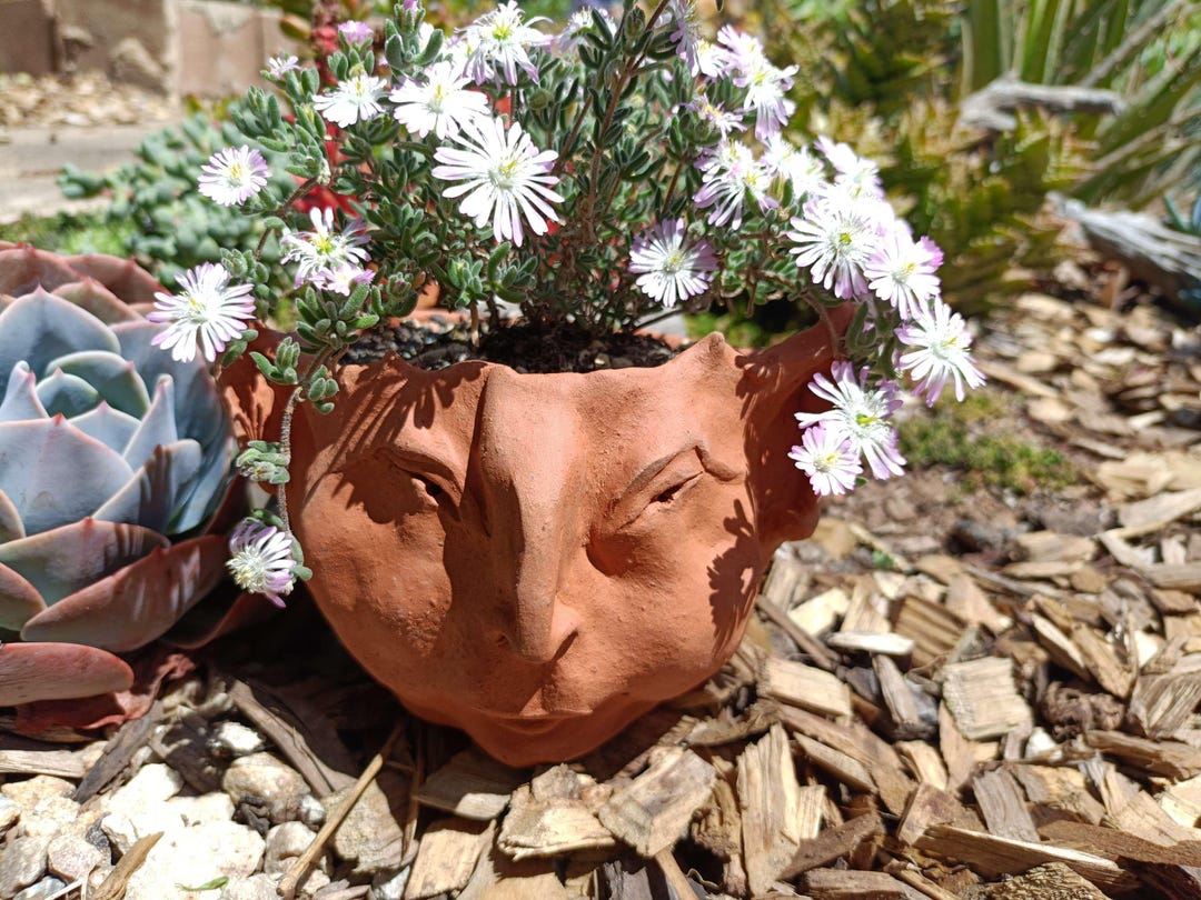 Terracotta Pottery Face Pot - Hand Sculpted Ceramics, Head Character ...