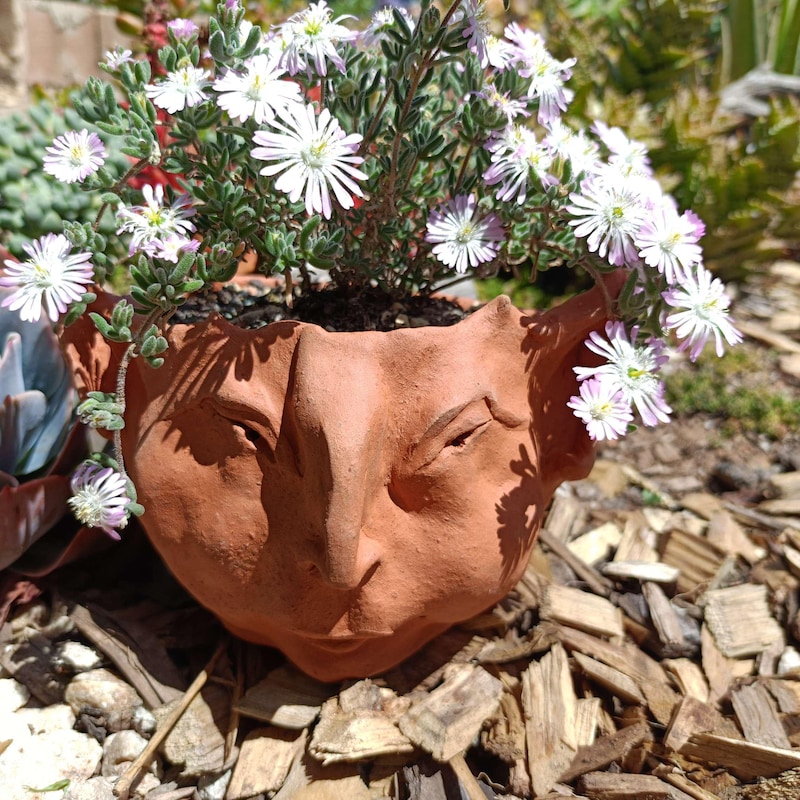 Face Pot - Etsy
