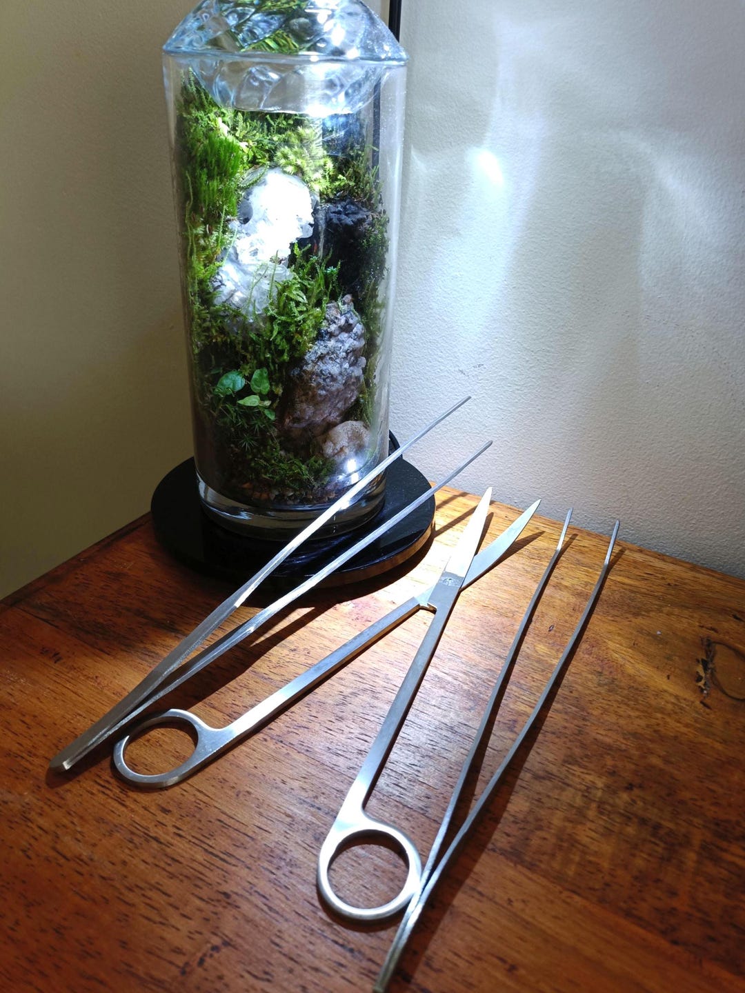 Terrarium Professional Tool Kit Set - Gardener's Gift Set - Etsy