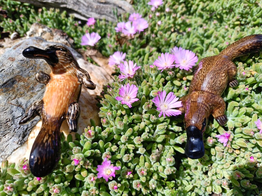 Ceramic Platypus Figurine: Australian Miniature for Aquarium or Fairy ...