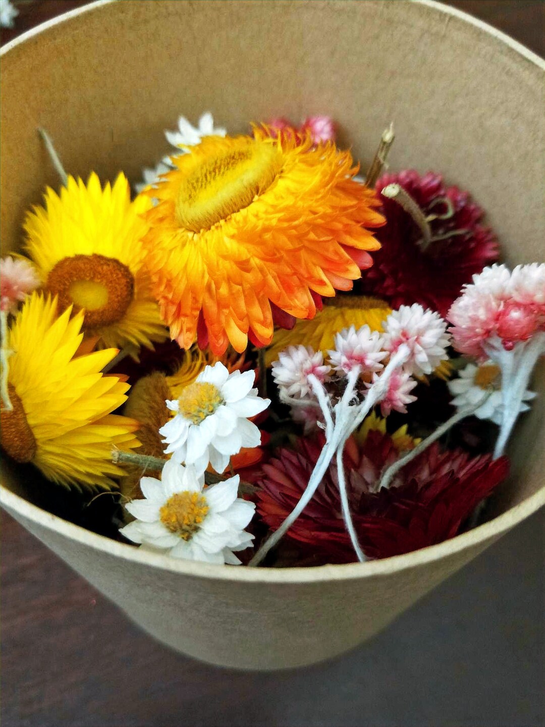 Mixed Box of Dried Australian Native Paper Daisies in Different Sizes ...