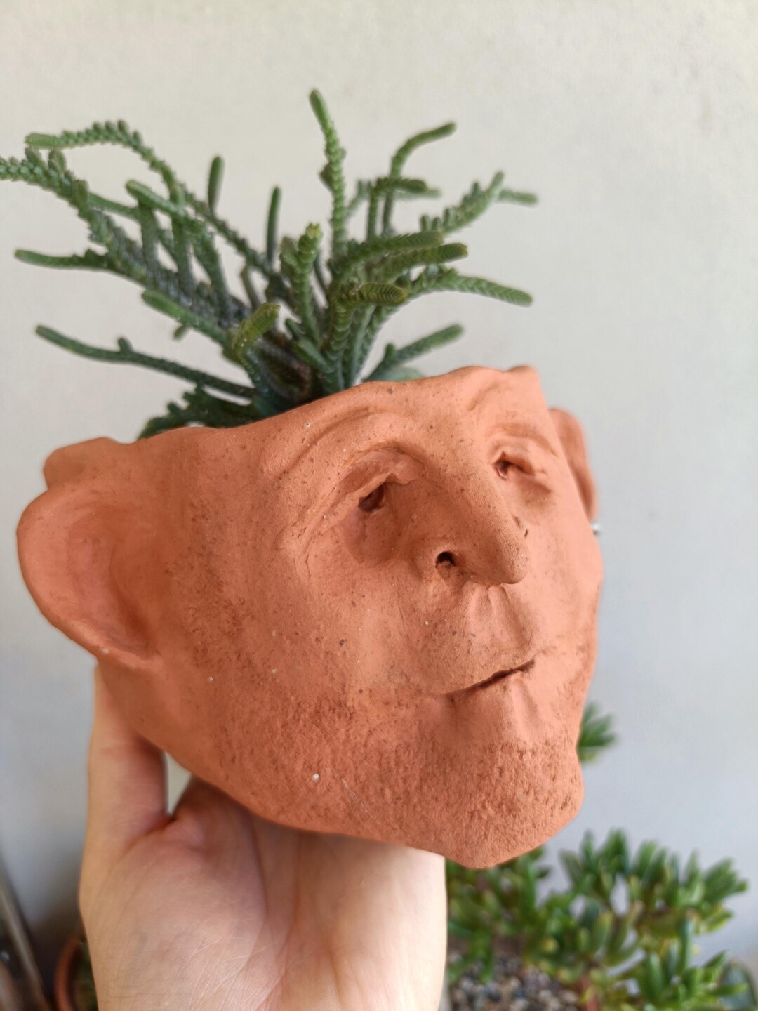 Handmade Terracotta Face Pot, Character Planter Fun Gift for Gardeners ...