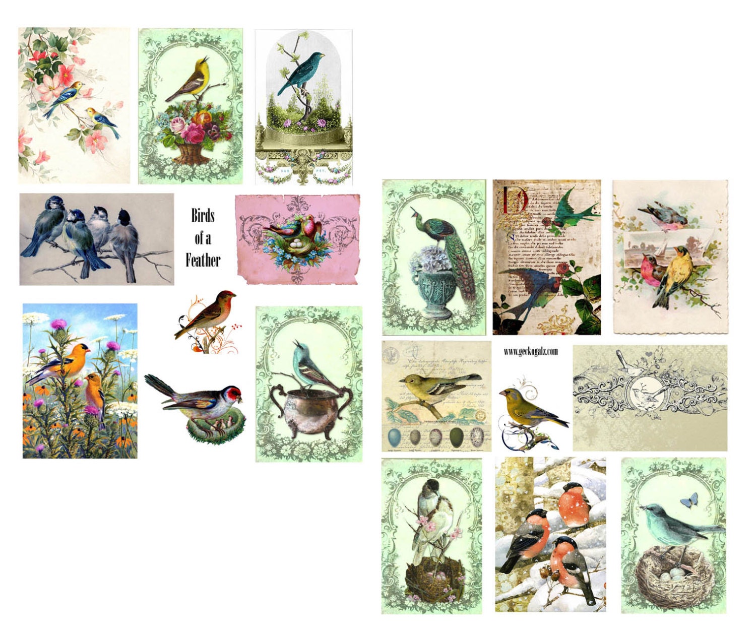 Conjunto de collage digital de aves de pluma | Etsy