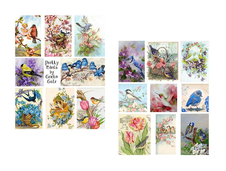 Pretty Birds Digital Collage Set - Etsy