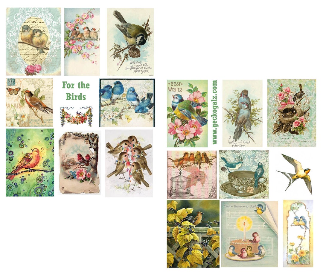 For the Birds Digital Collage Sheets - Etsy