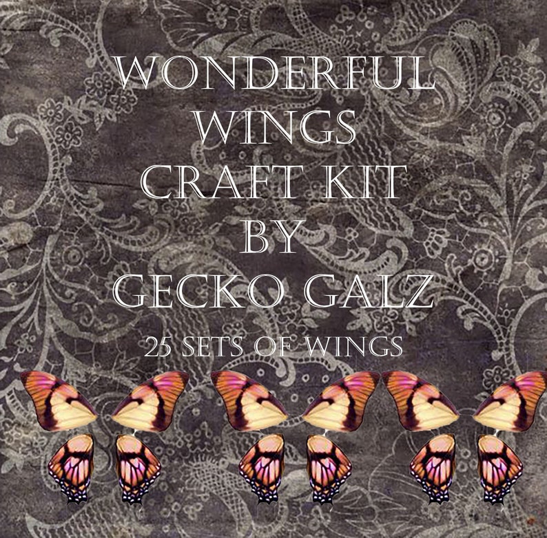 Wonderful Wings Craft Kit - Etsy