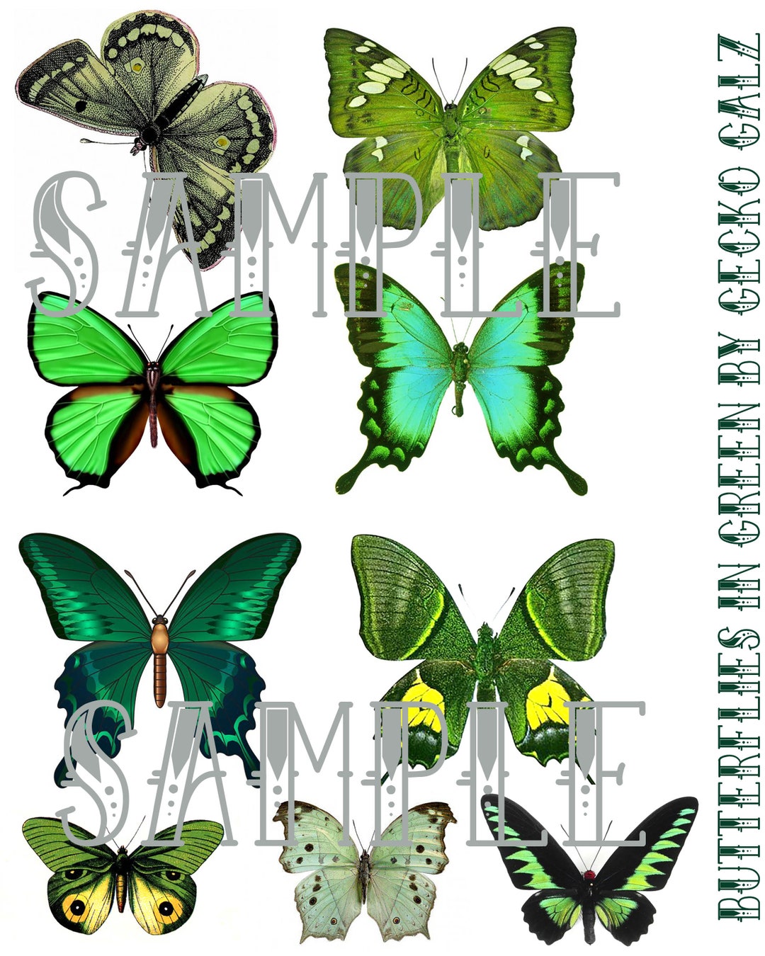 Butterflies in Green Digital Collage Sheet - Etsy